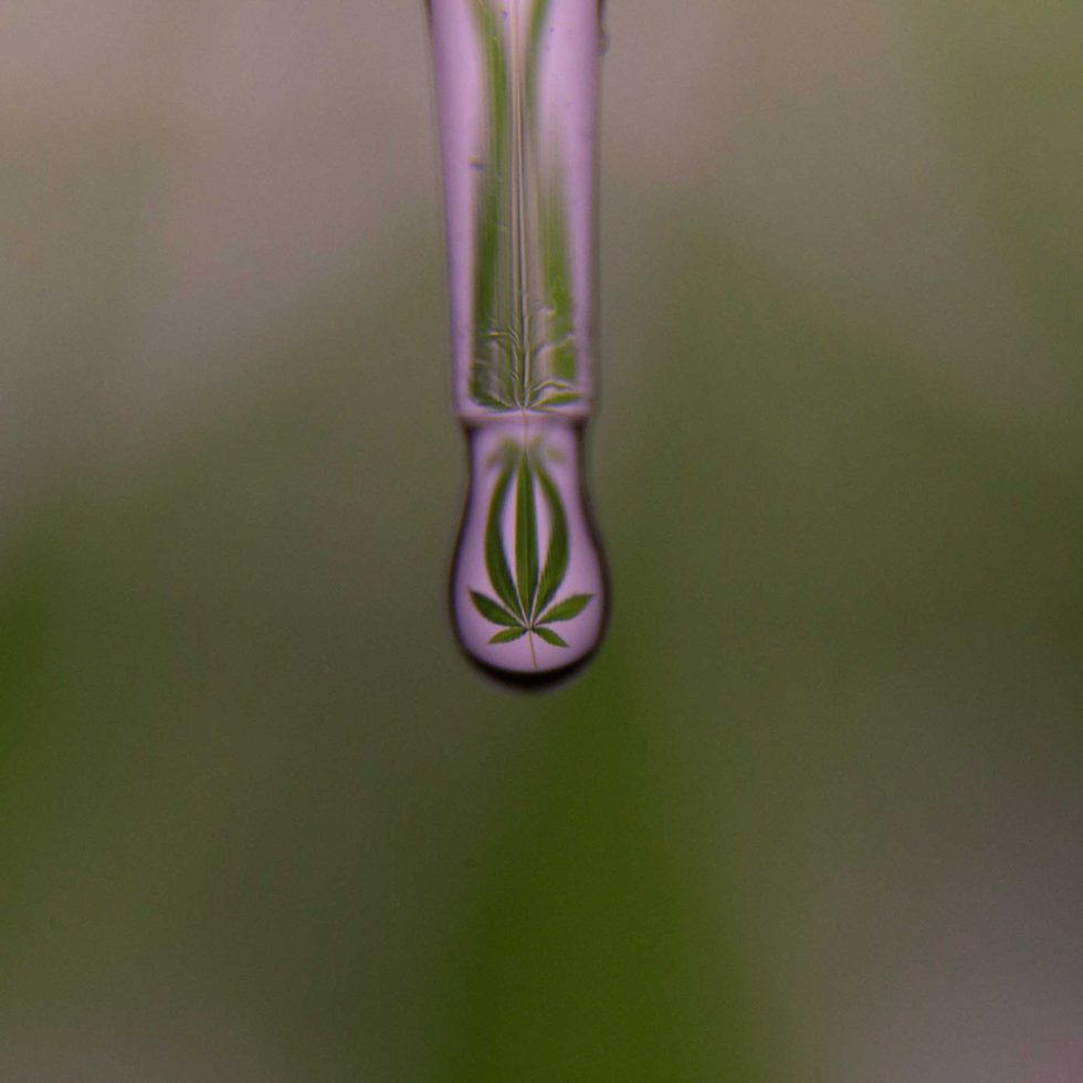 CBD Necklace | Gold Art Group